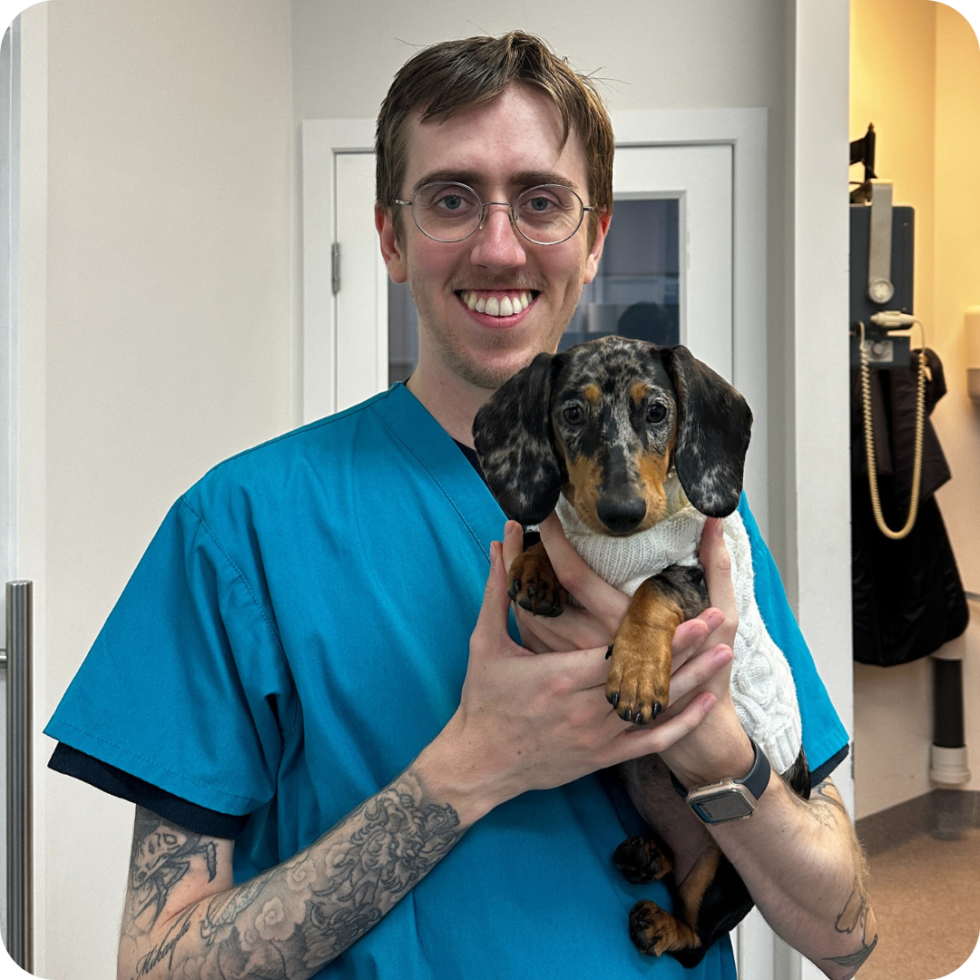 About Oxenford Veterinary Surgery - Friendly & Expert Staff