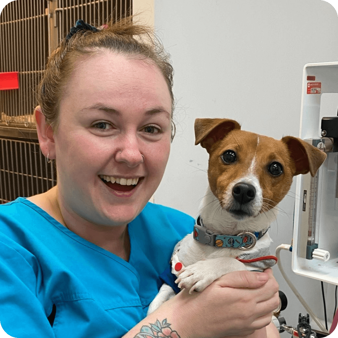 About Oxenford Veterinary Surgery - Friendly & Expert Staff