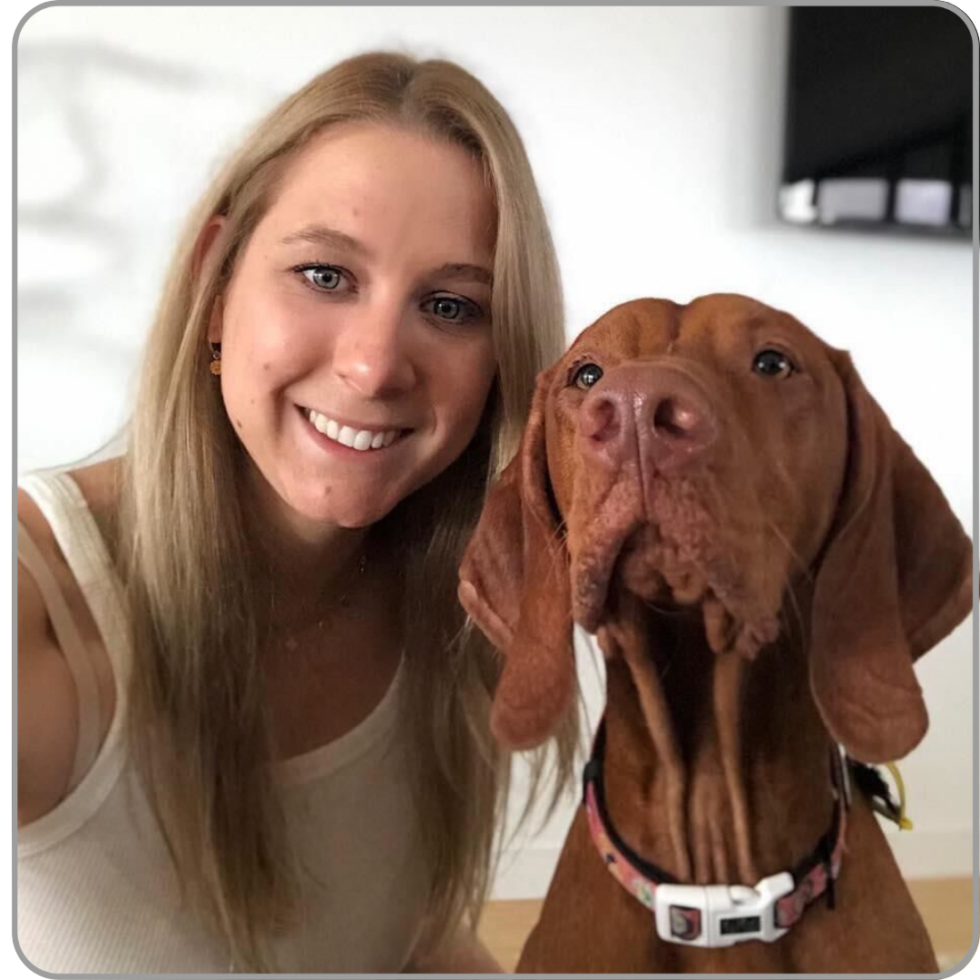 About Oxenford Veterinary Surgery - Friendly & Expert Staff